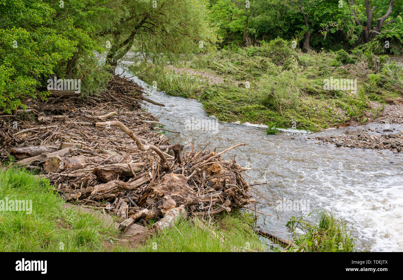 River Tyne path, East Lothian, Scotland, United Kingdom, 15th June 2019 ...