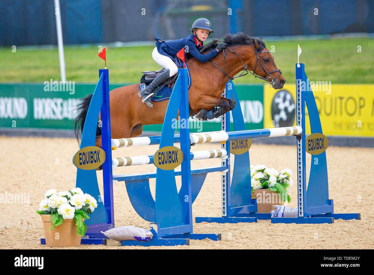 2019 winner tabitha kyle hi-res stock photography and images - Alamy