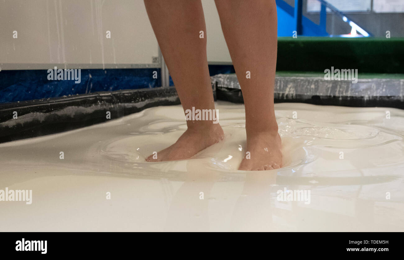 Cornstarch And Water Pool