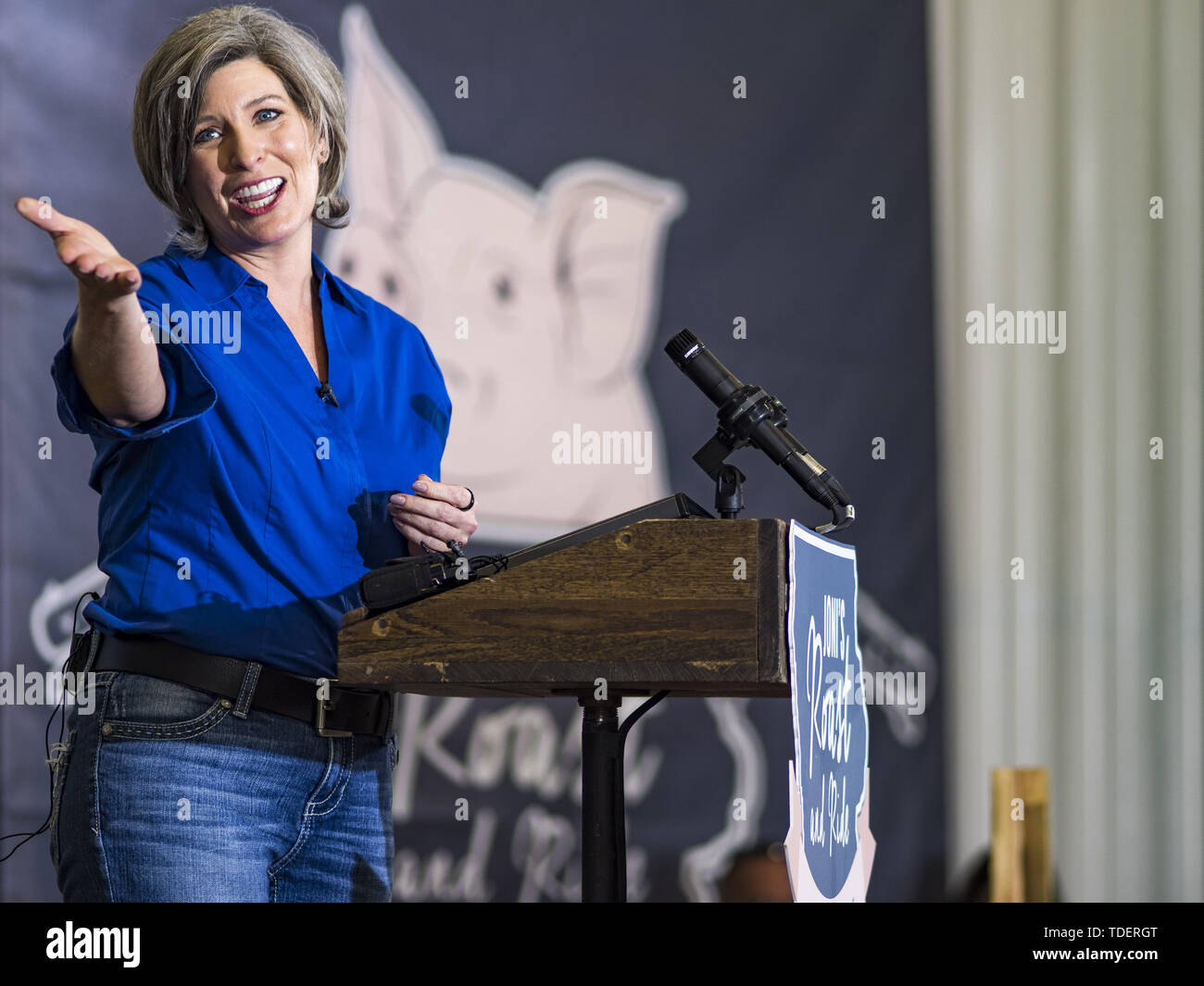 Boone, Iowa, USA. 15th June, 2019. US Senator JONI ERNST (R-IA) speaks ...