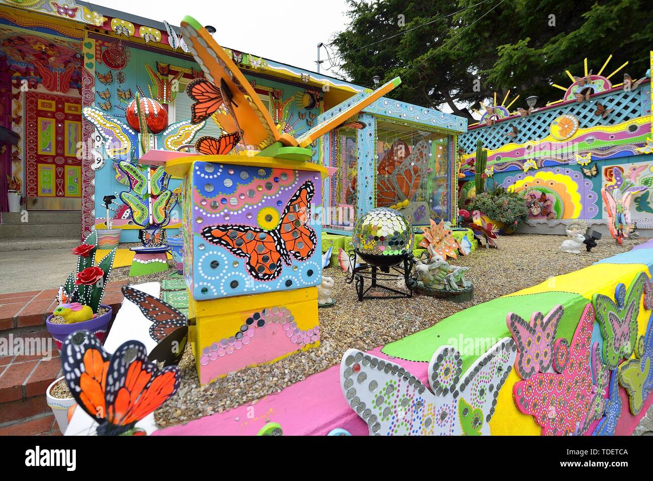 Butterflies house hi-res stock photography and images - Alamy