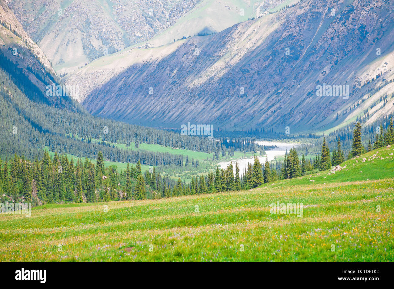 Shata hi-res stock photography and images - Alamy