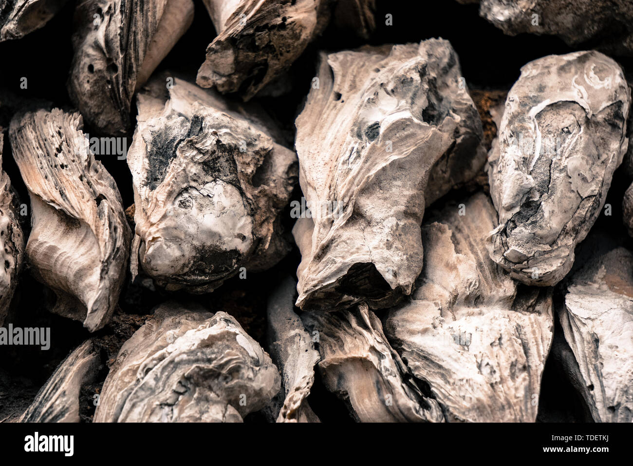 Oyster shells build houses, mansions Stock Photo - Alamy