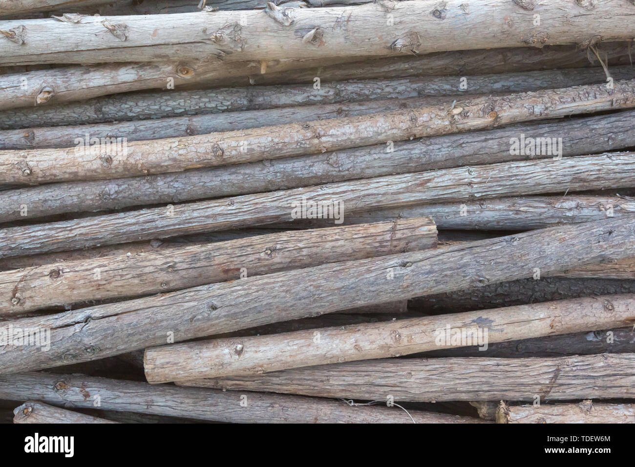 A bunch of wood close-up pine log background texture Stock Photo - Alamy