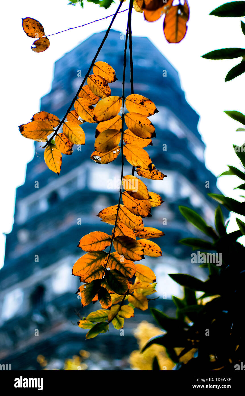 Autumn color of Huqiu, Suzhou Stock Photo - Alamy