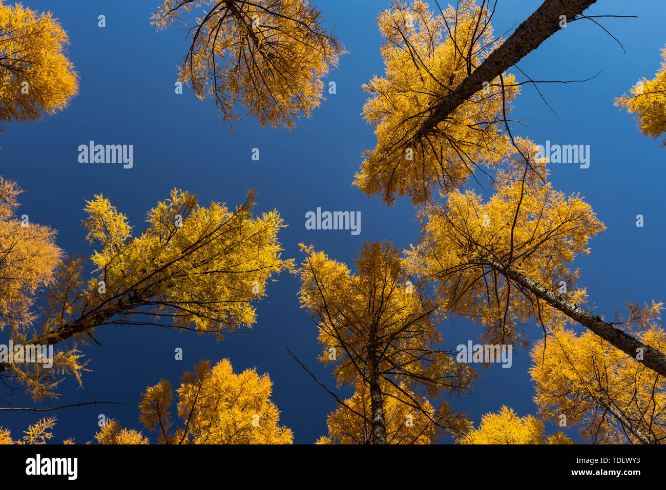 Dam upper fall Stock Photo - Alamy