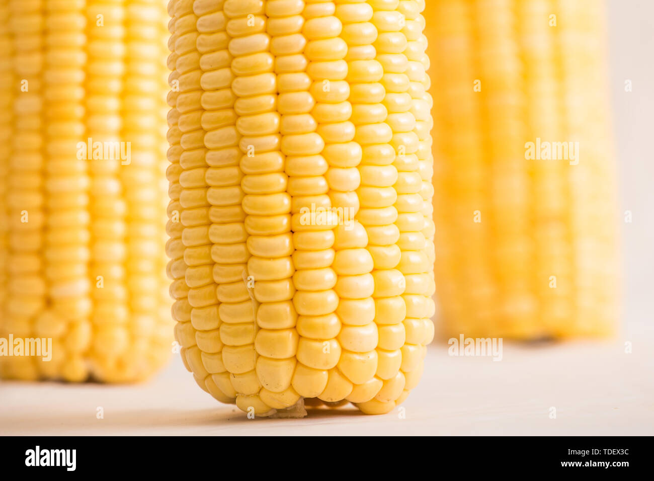 Fresh, golden corn Stock Photo - Alamy