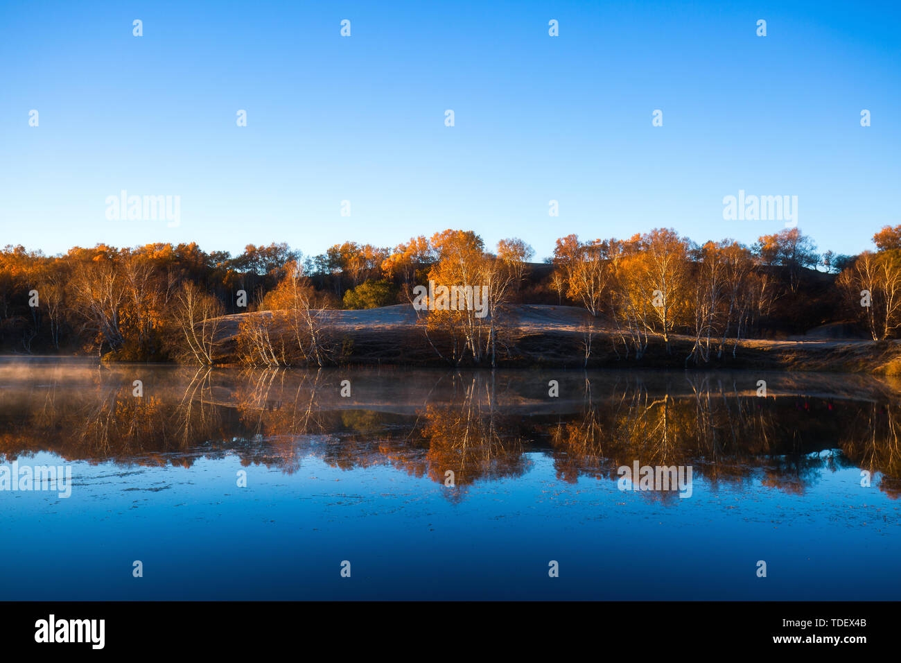 Princess of the prairie hi-res stock photography and images - Alamy
