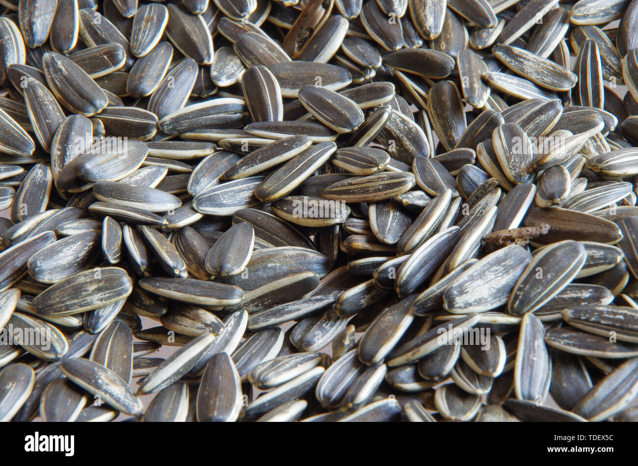 Large number black seeds hi-res stock photography and images - Alamy