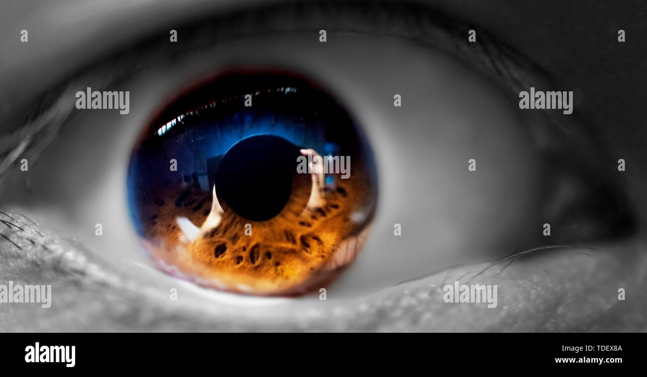 Spherical eyes hi-res stock photography and images - Alamy