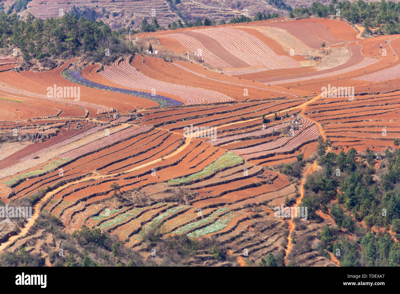 Plateau terraces in Yunnan Stock Photo - Alamy