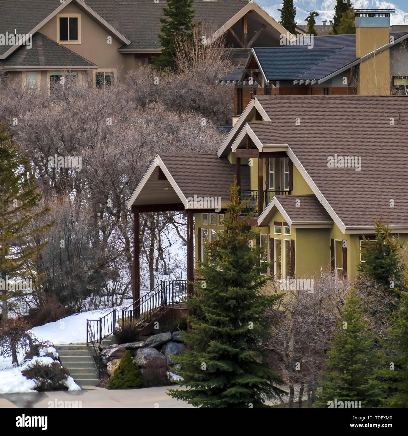 Square frame Exterior view of homes amid snow covered ground and trees ...