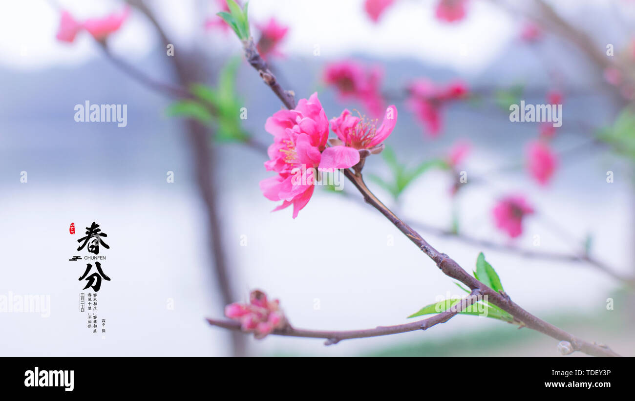 24 solar terms hi-res stock photography and images - Alamy