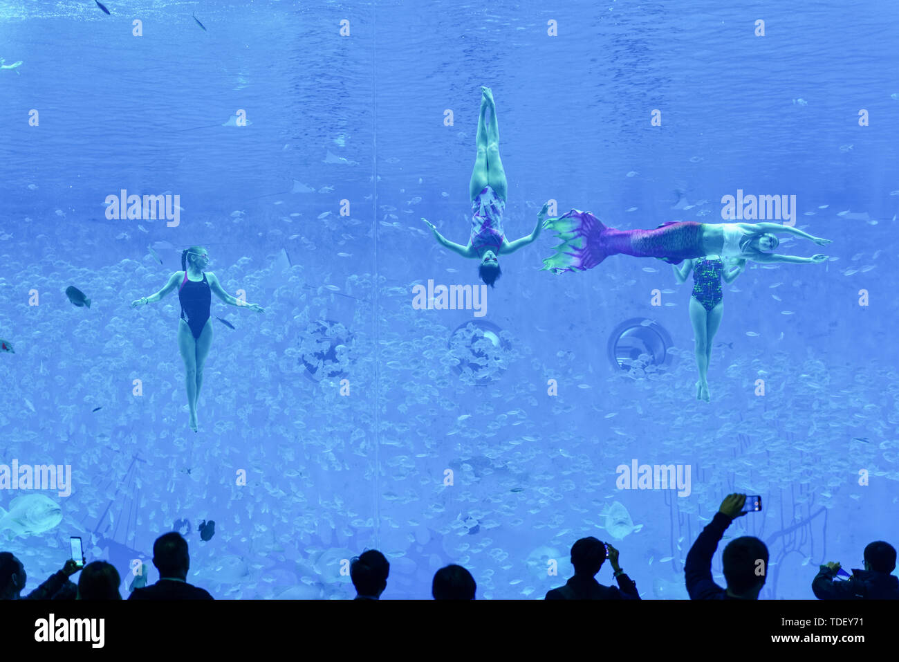 Mermaid performance at Haichang Ocean Park, Shanghai Stock Photo - Alamy