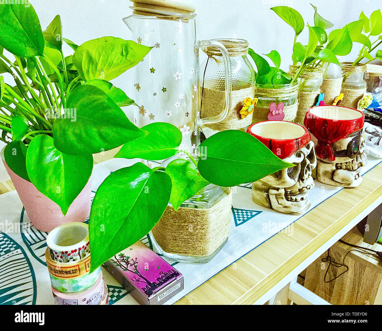 Transparent small fresh plant cups containers hi-res stock photography ...