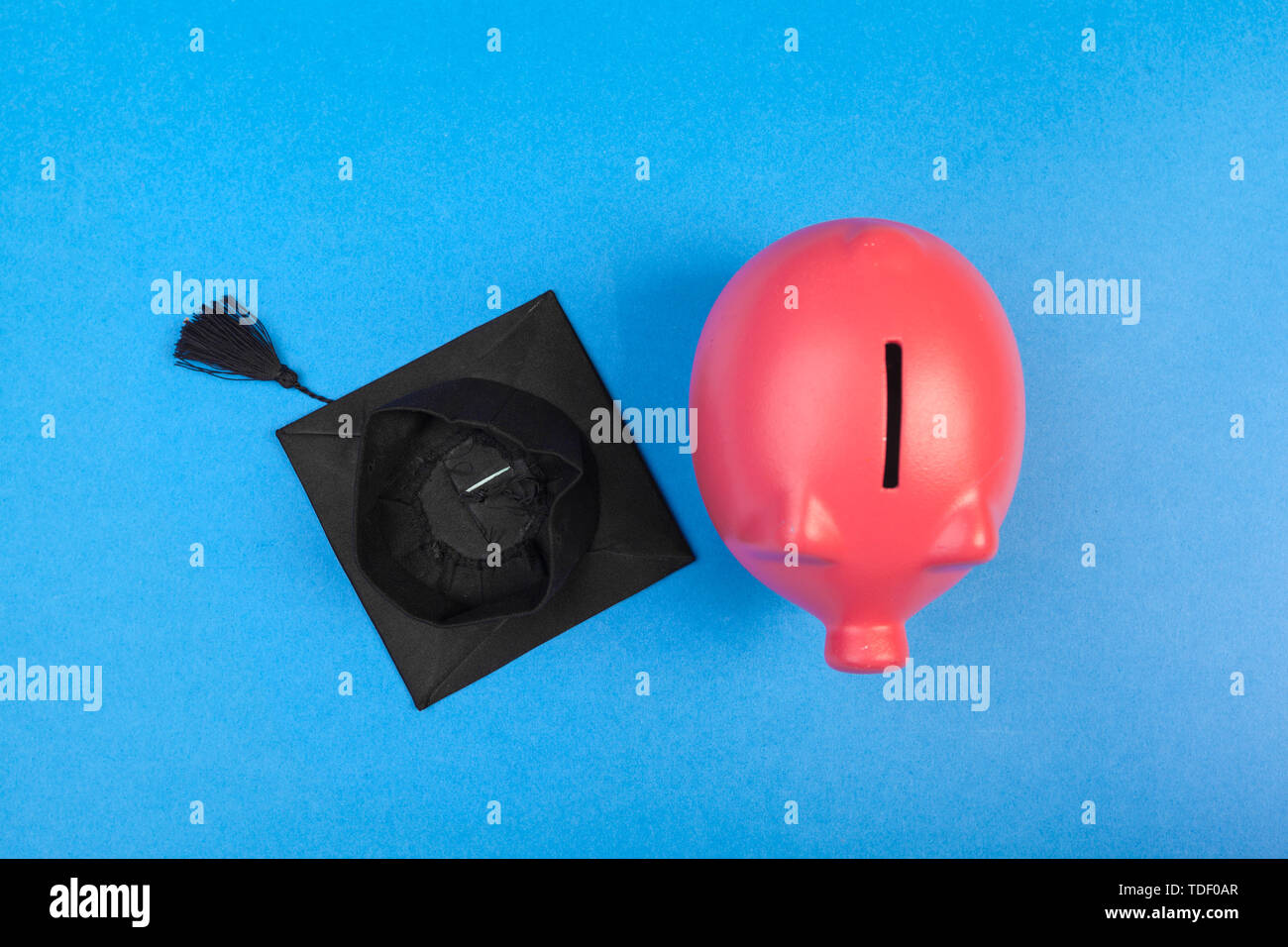 Student college graduate piggy bank Stock Photo - Alamy