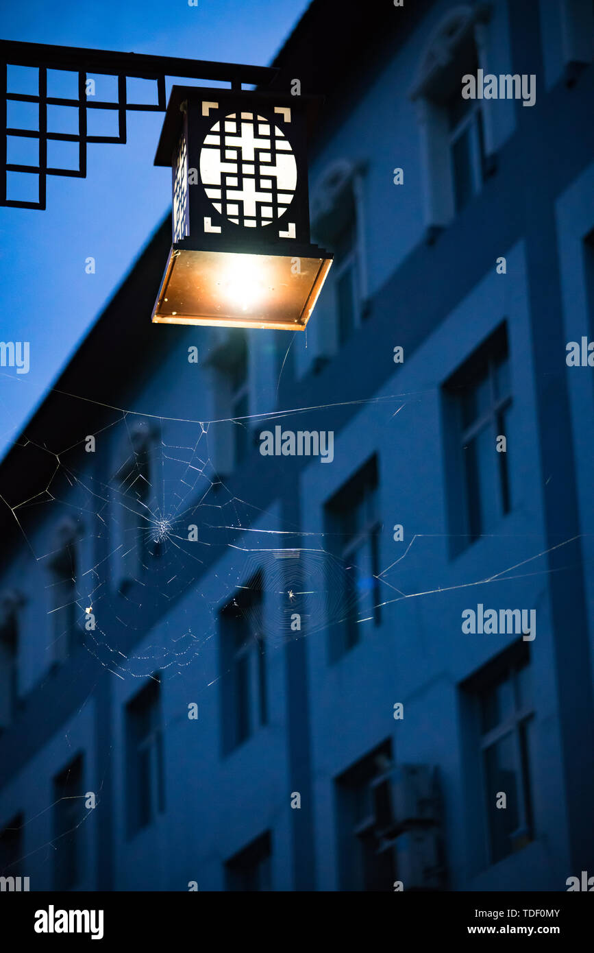 Late at night lights,there is a huge spider web Under the late night ...