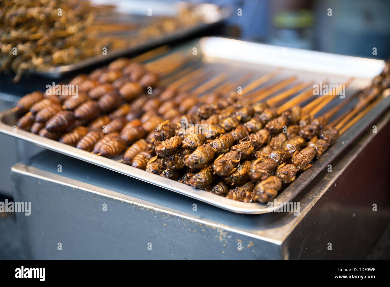 Fried cicada pupa Stock Photo - Alamy