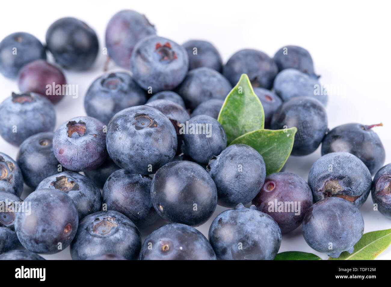 Blueberry still life close-up Stock Photo - Alamy