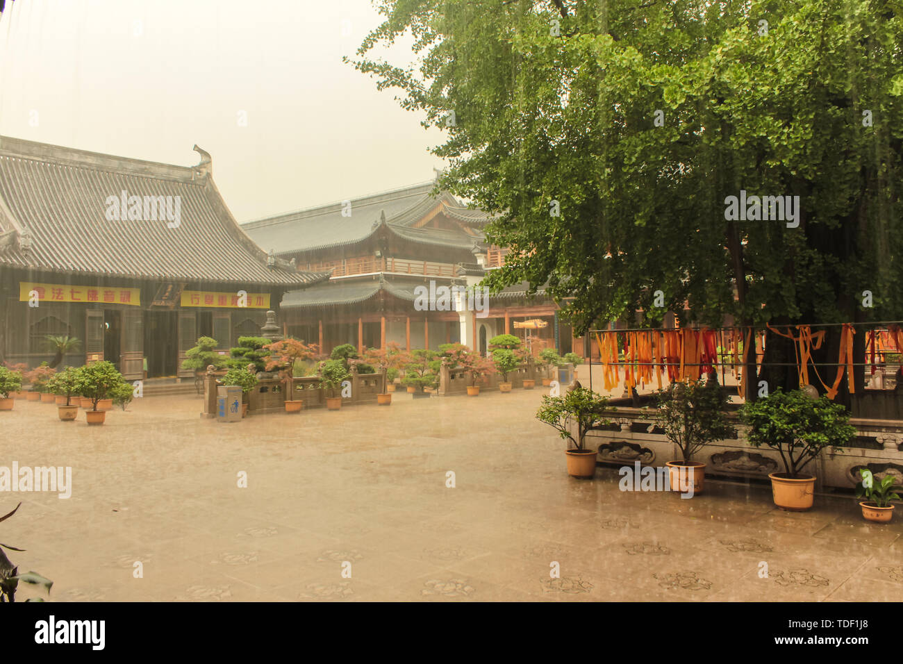 The zhenru temple hi-res stock photography and images - Alamy