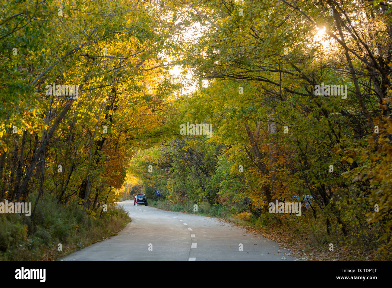 Sino-Russian border lake Xingkai lake autumn color Stock Photo - Alamy