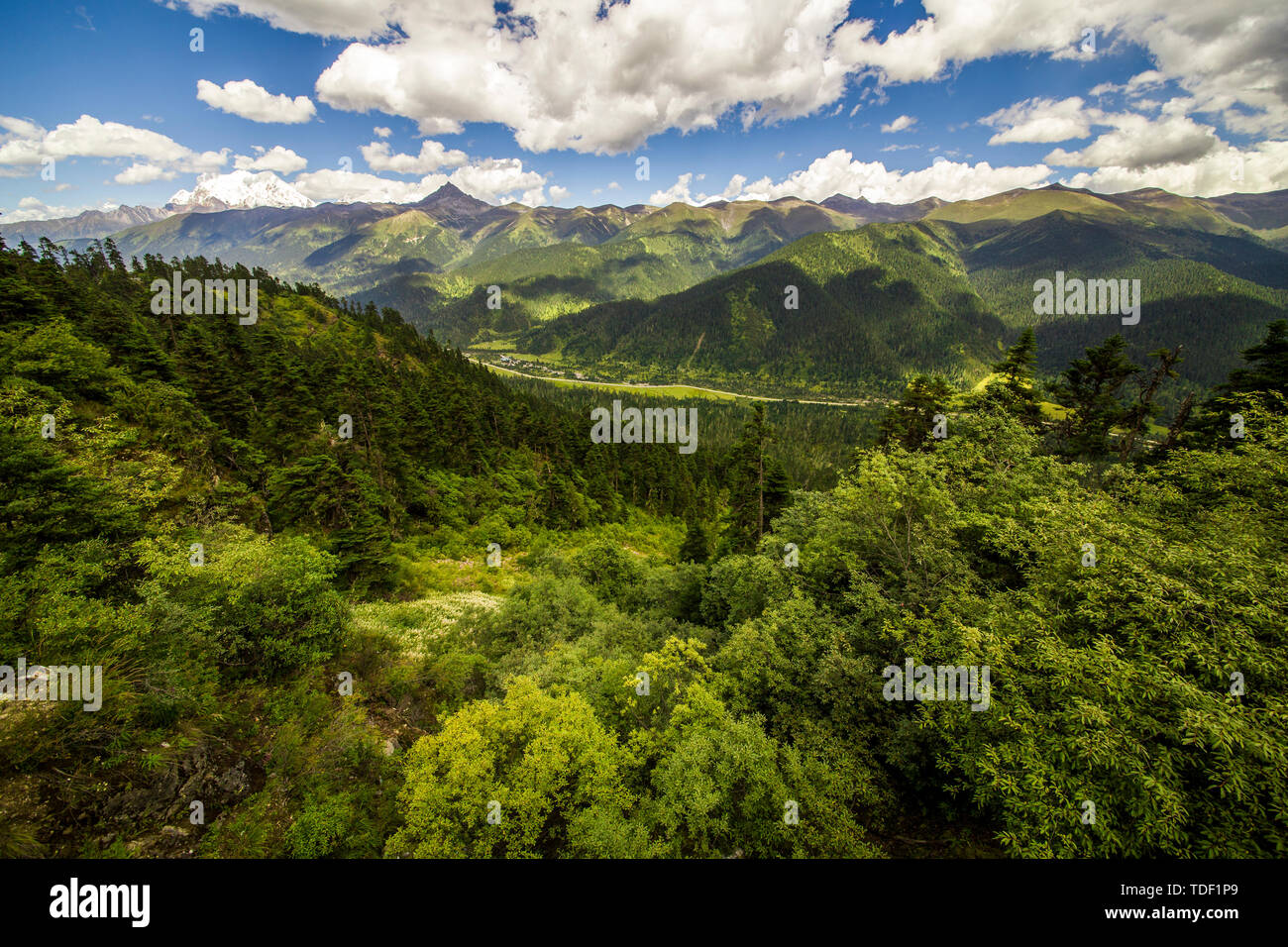Xizang lulang scenery and scenic scenery hi-res stock photography and ...