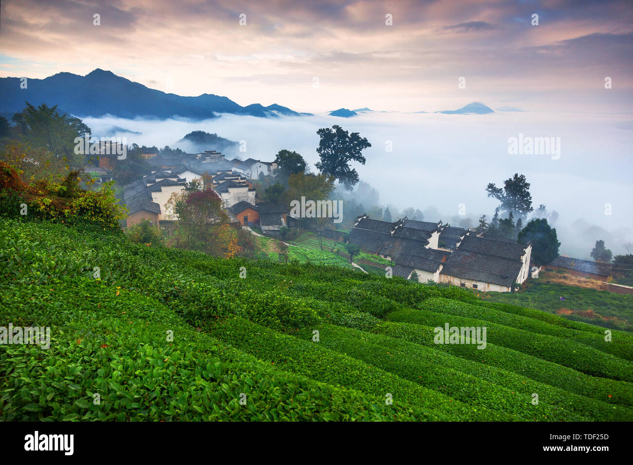 Jinlong hi-res stock photography and images - Alamy