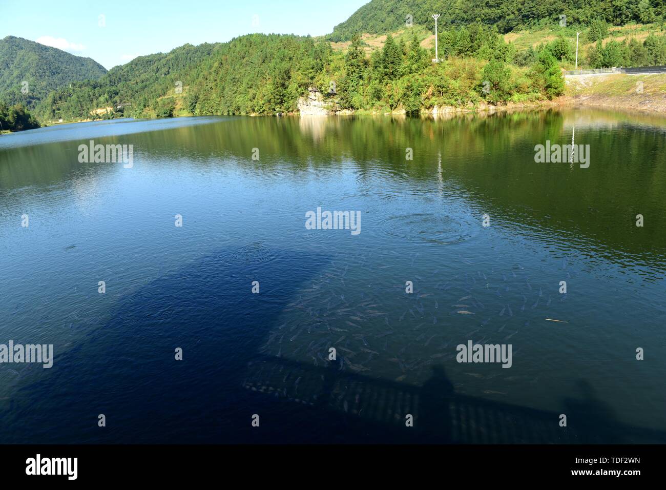 Dam mural painting hi-res stock photography and images - Alamy