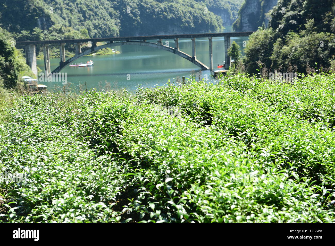 River bridge landscape Stock Photo - Alamy