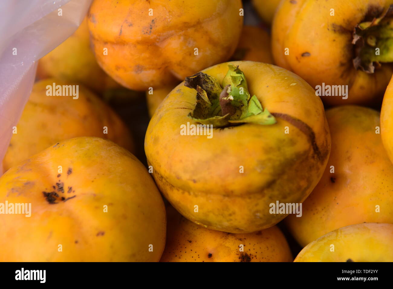 Rhubarb persimmon hi-res stock photography and images - Alamy