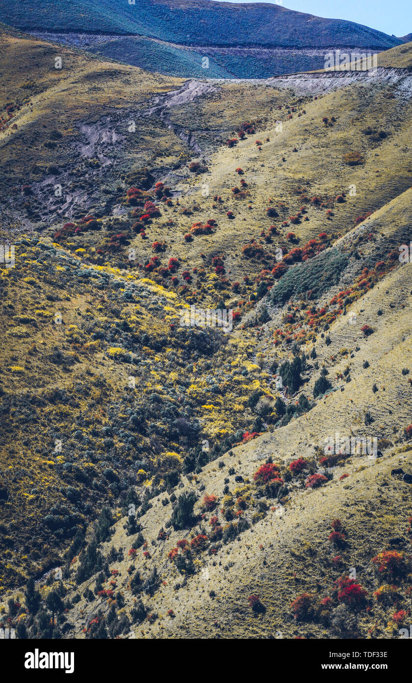 Scenery of China's Tibetan Plateau Stock Photo - Alamy