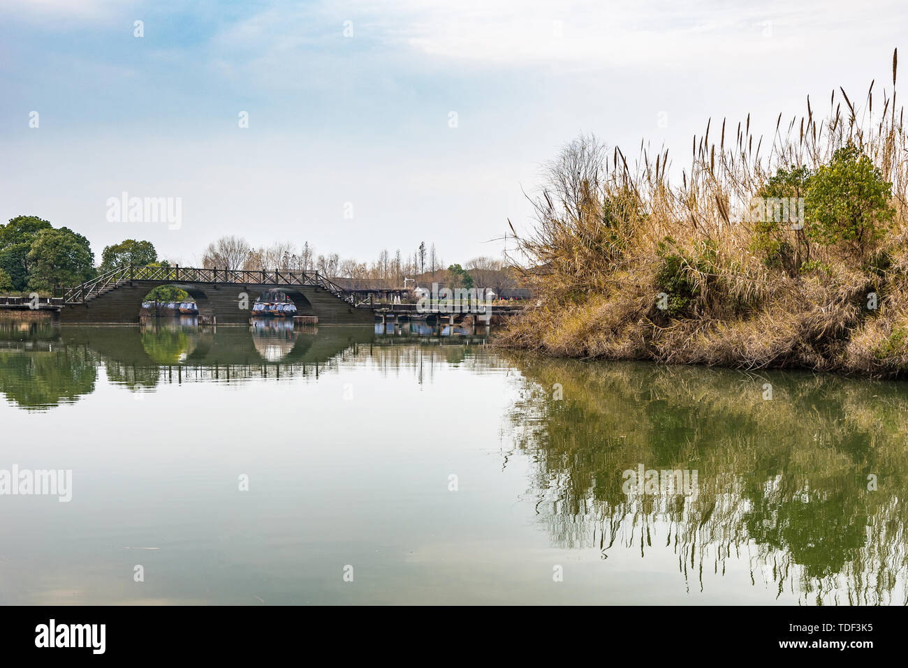 The 2019 Spring Festival was photographed in the Shajiabang Reed Scenic ...