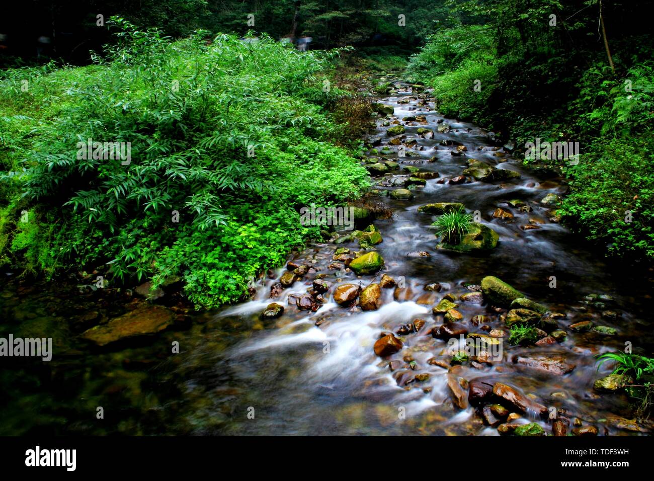 Redlantern in chinese model Stock Photo - Alamy