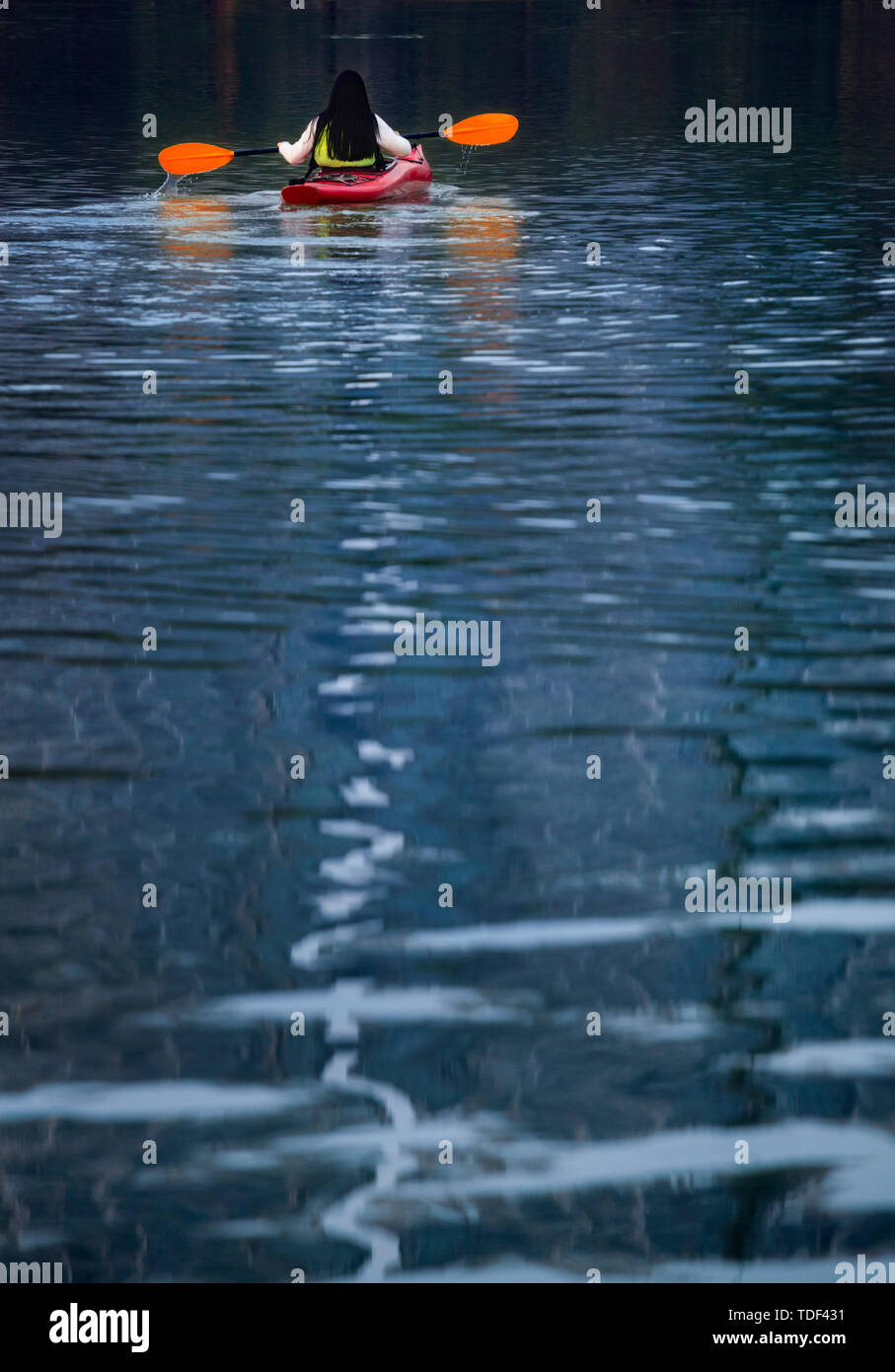 Single paddling hi-res stock photography and images - Alamy