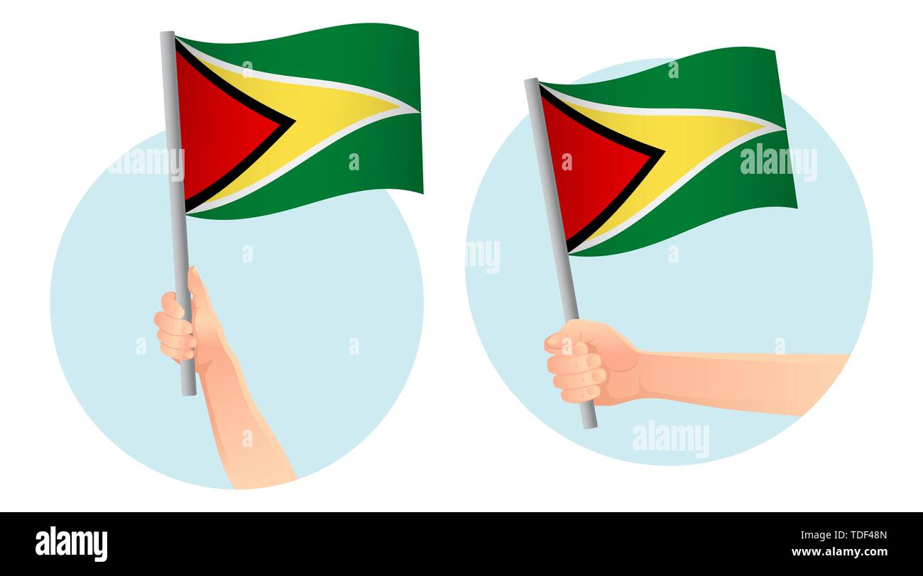 Guyana flag in hand. Patriotic background. National flag of Guyana illustration Stock Photo - Alamy