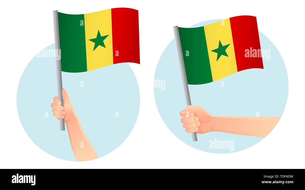 Senegal flag in hand. Patriotic background. National flag of Senegal ...