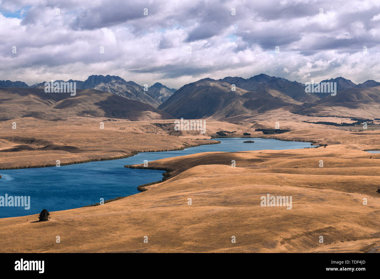 New Zealand ranch Stock Photo - Alamy