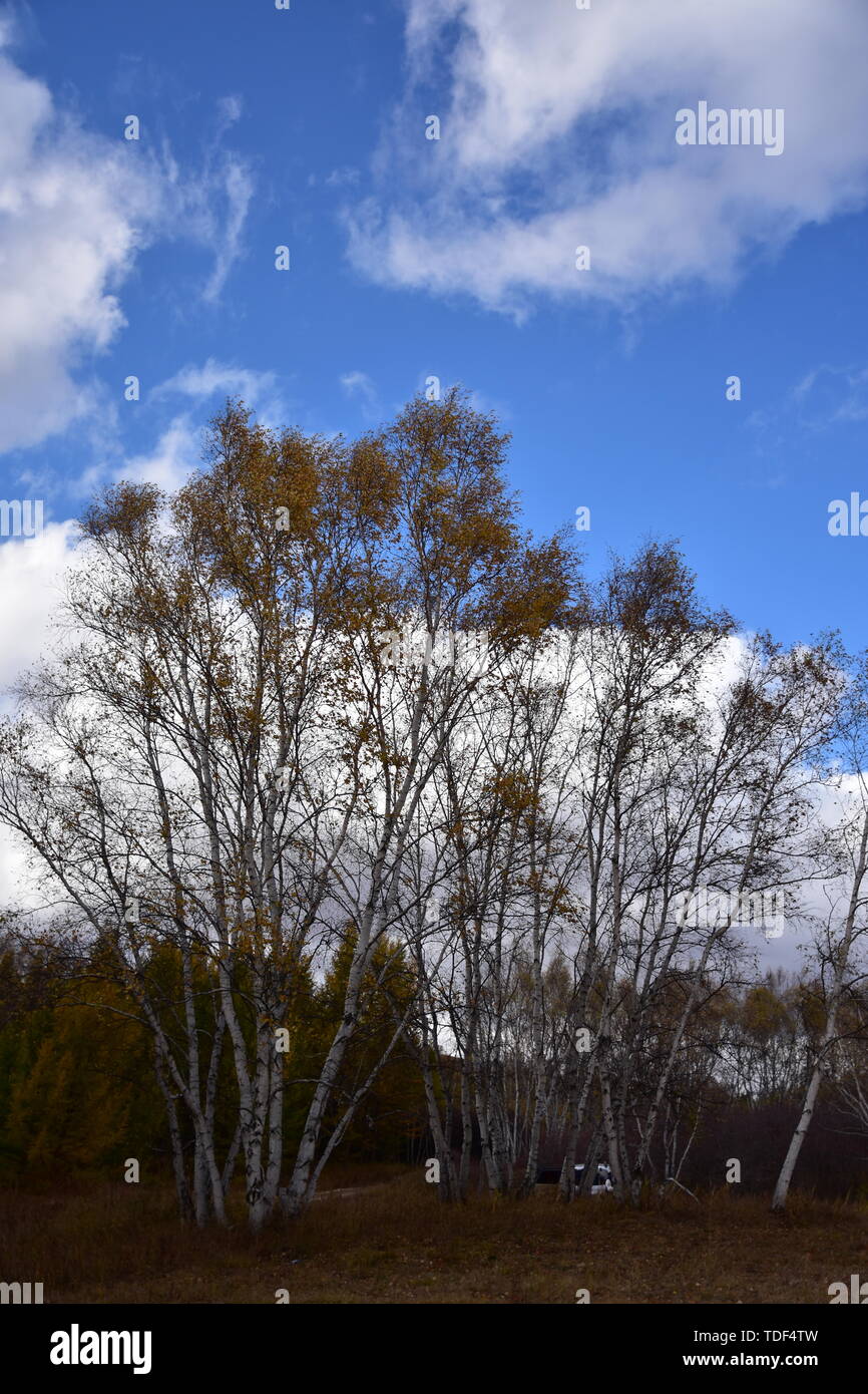 Saihan dam scenery Stock Photo - Alamy