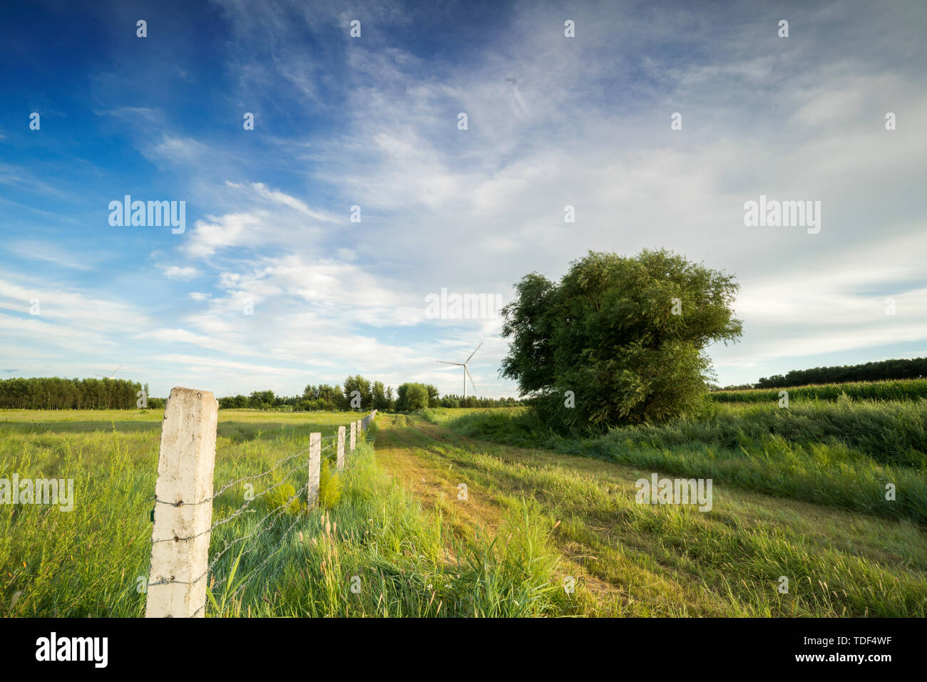 The natural scenery Stock Photo - Alamy