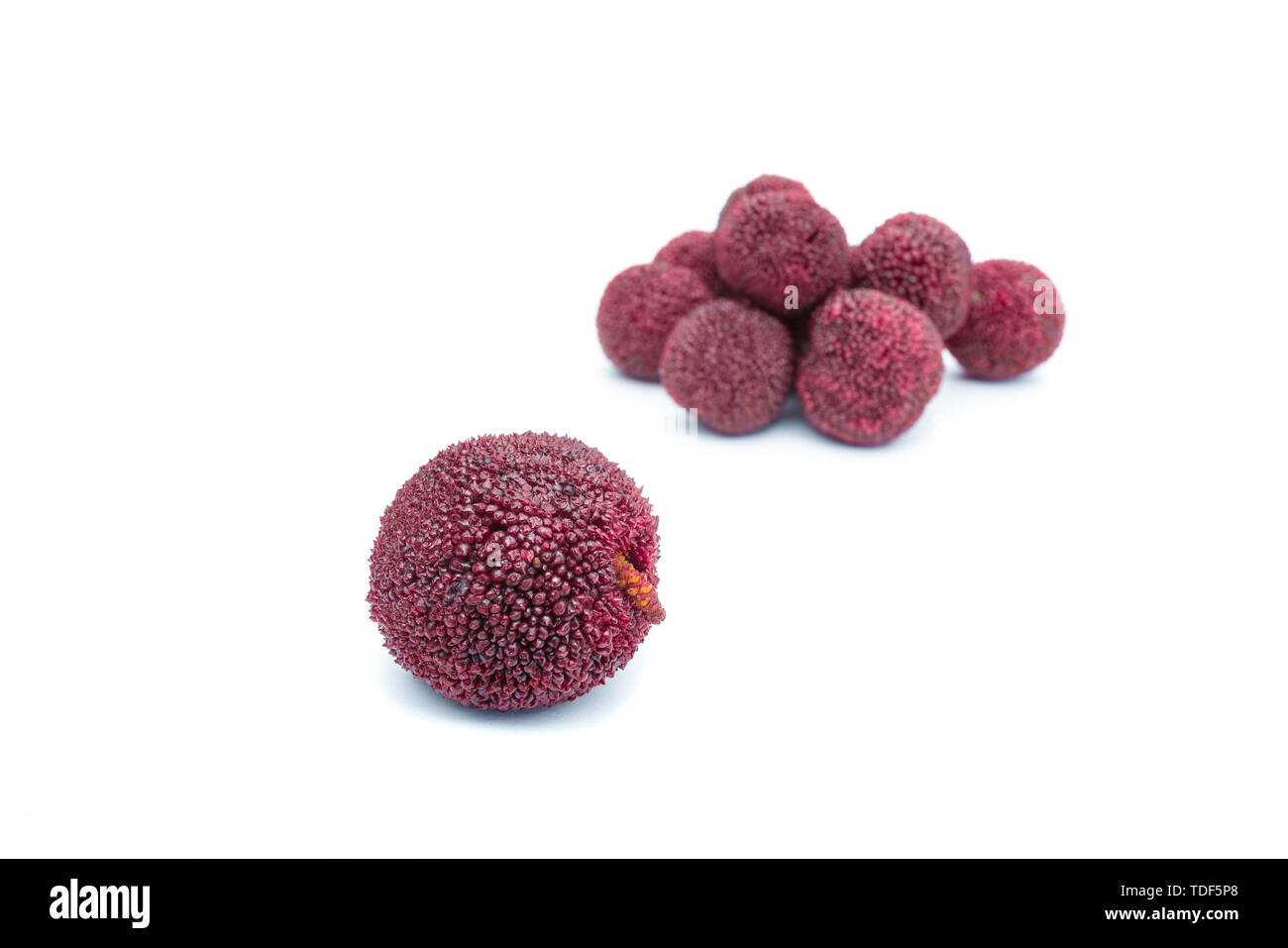 Bayberry on white hi-res stock photography and images - Alamy