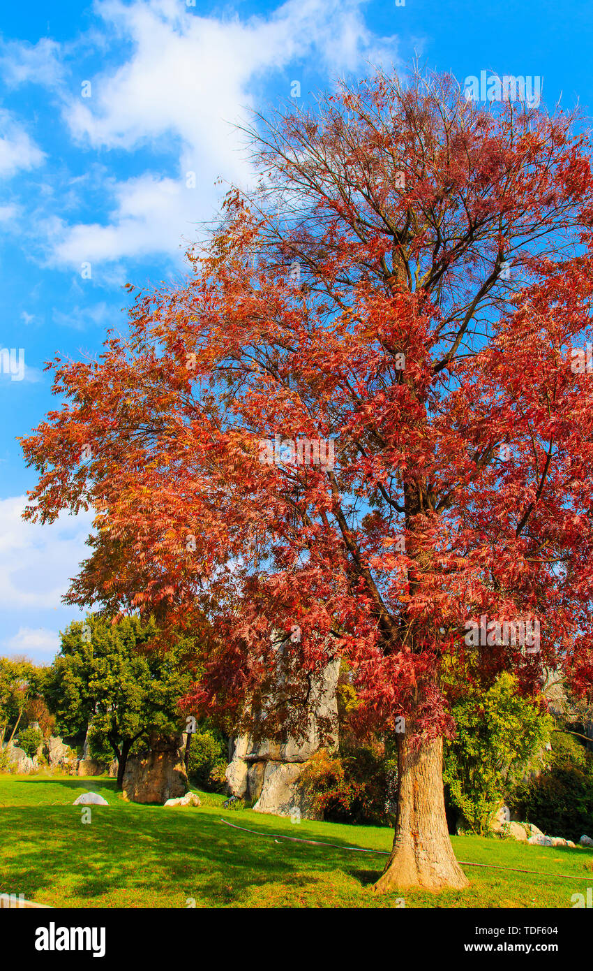 Shilin geopark hi-res stock photography and images - Alamy