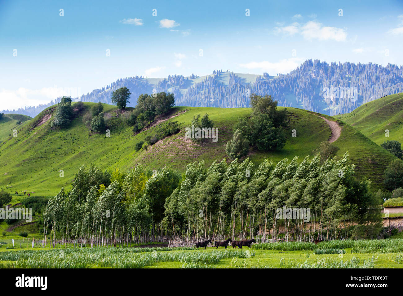 The Narati Prairie, which has a river valley and a mountain prairie ...