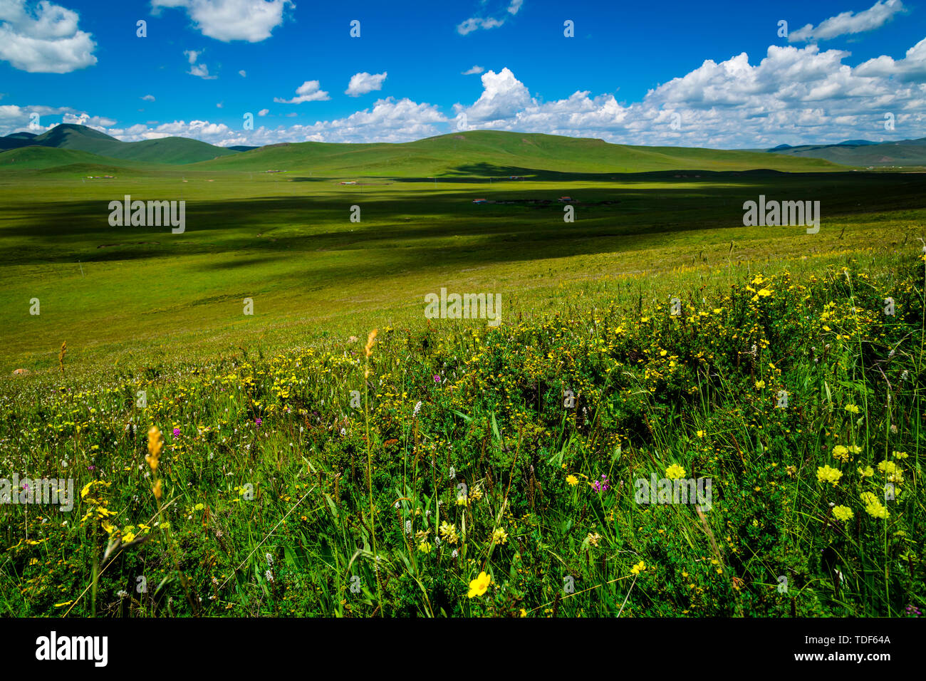 Red plains hi-res stock photography and images - Alamy
