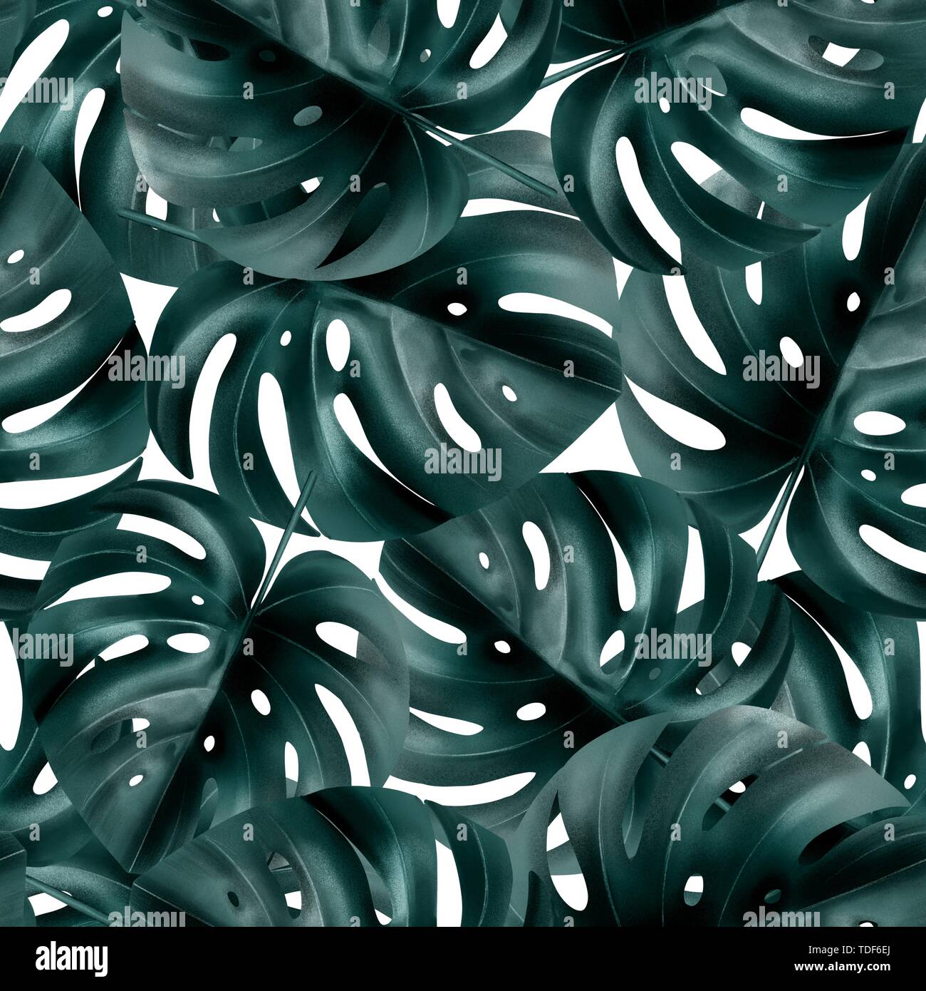 Palm monstera seamless pattern Stock Photo - Alamy