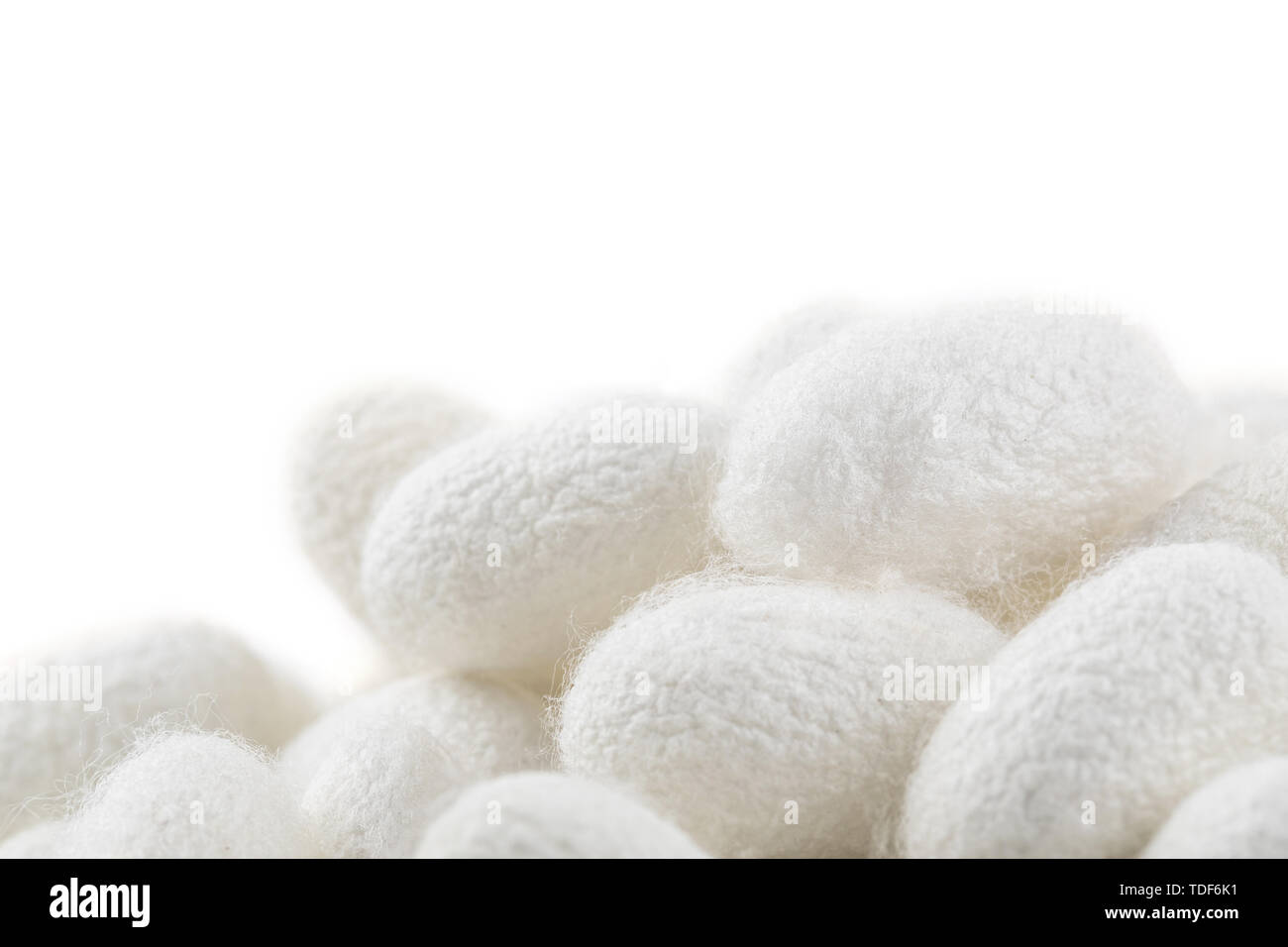Natural silk cocoon Stock Photo - Alamy