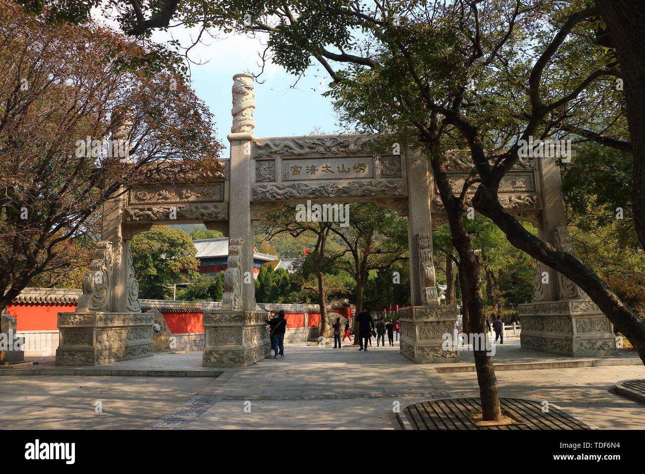 Sacred Trees On The Grounds Of Taiqing Gong Temple