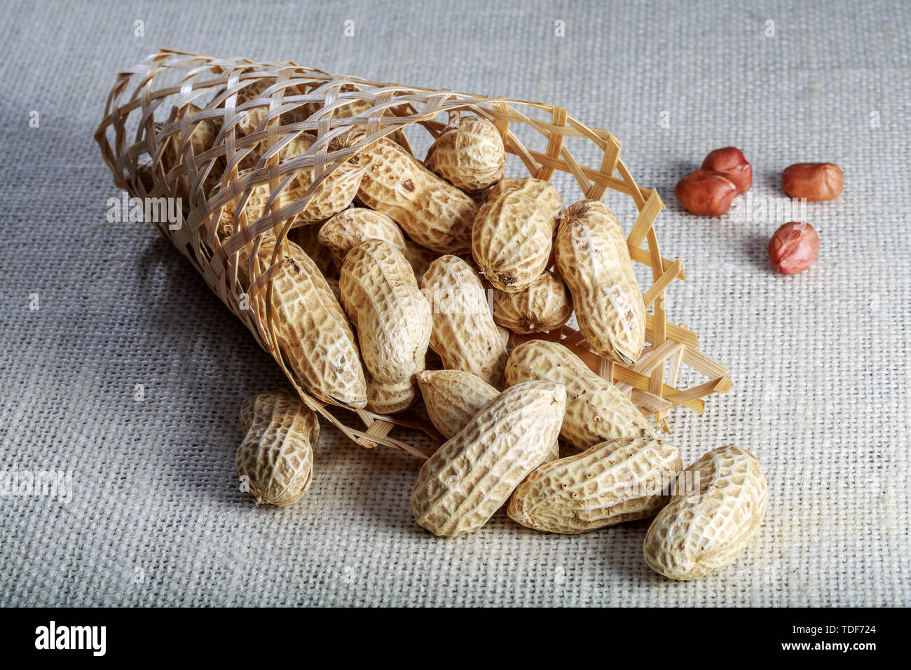 Food photography no one has fruit healthy trees with nutrients hi-res ...