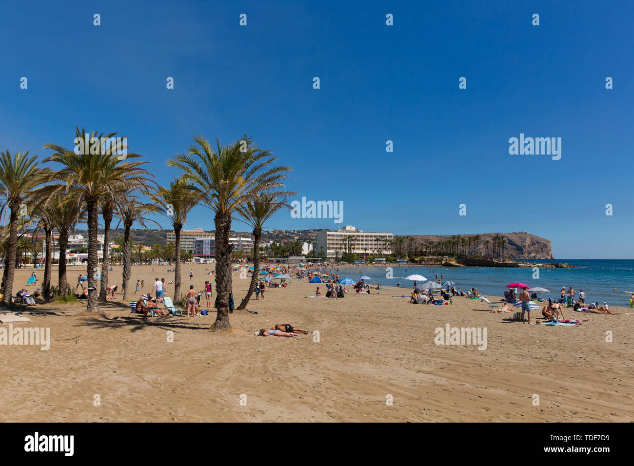 Xabia Spain Playa del Arenal beach with palm trees in summer people ...