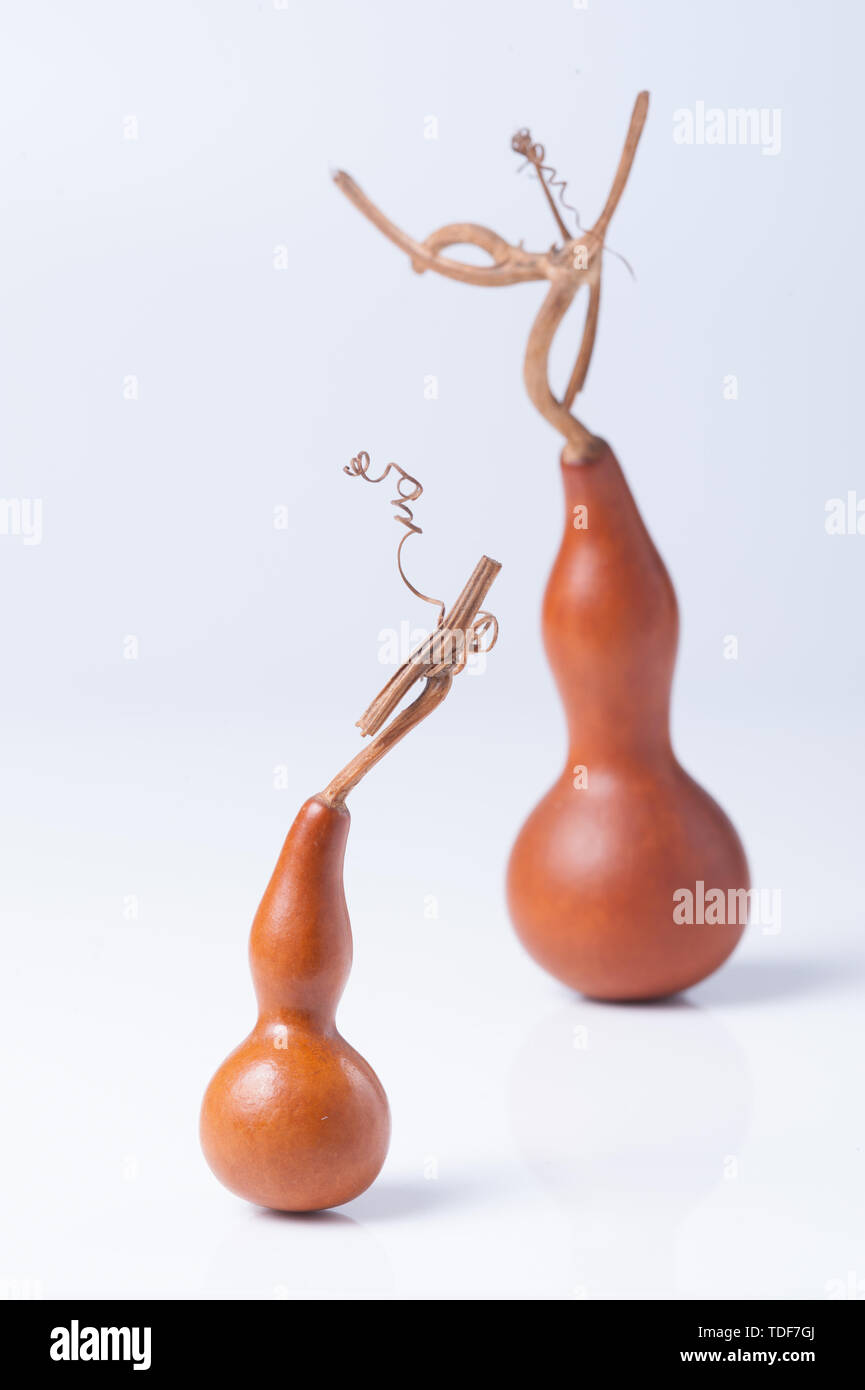Hand twist gourd hi-res stock photography and images - Alamy