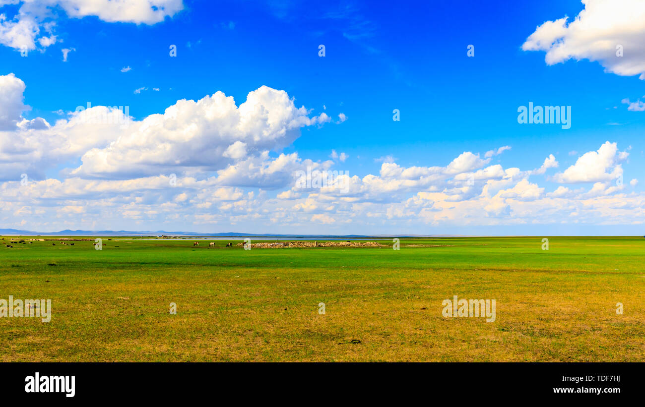 Summer in Hulunbuir Prairie, Inner Mongolia Stock Photo - Alamy